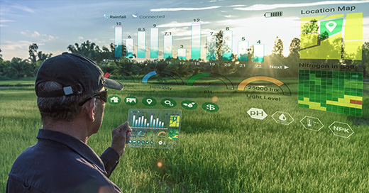 Revolutionising Agriculture with LoRaWAN and IoT Deployments - melita.io